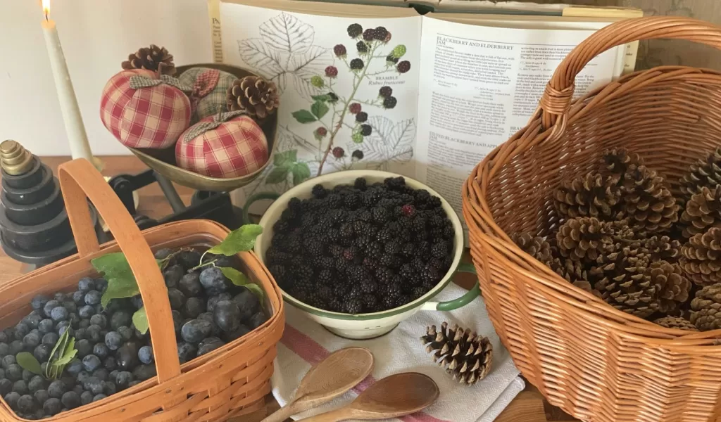 How to make Sloe and Damson Gin a traditional foraged hedgerow recipe